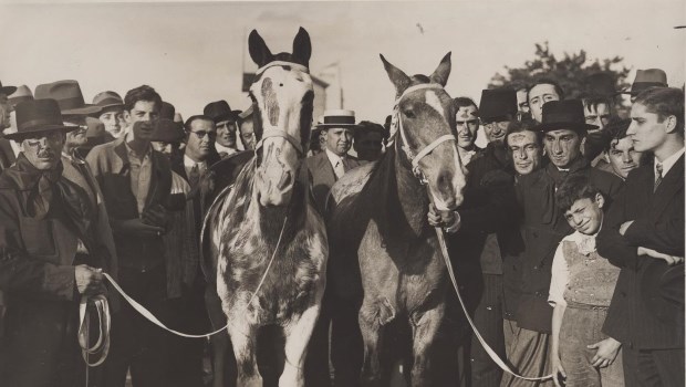 "Gato", "Mancha" y una amistad de Buenos Aires a Nueva York - Cultura ...