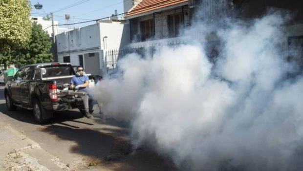 Confirman Nueve Casos Autóctonos De Dengue Y Dos De Encefalitis Equina